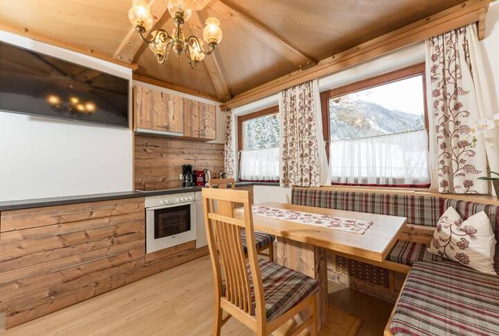 Winklhütte Appartement - Schladming