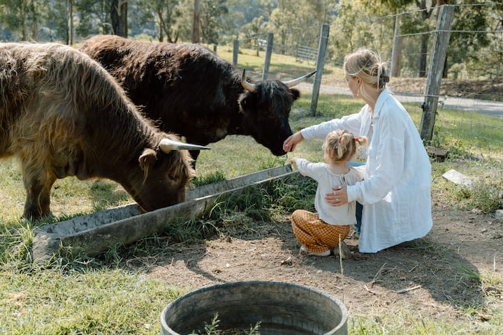 Fun On The Farm! Nr Mapleton, 360 View Bring Pet! - Mapleton