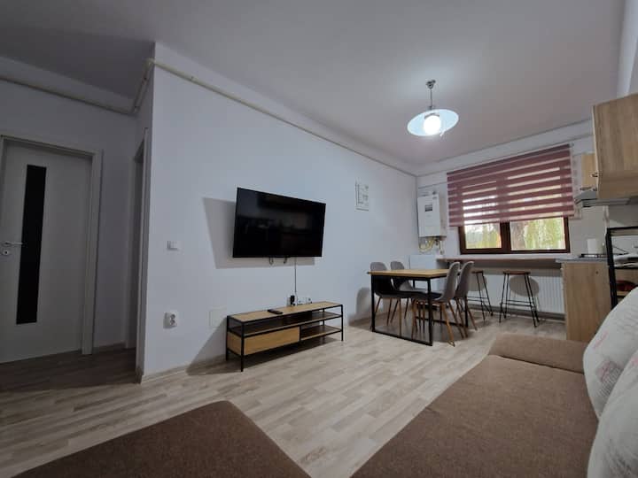 Cozy Apartment - Palas - Iași