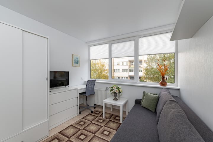 Pramonės Ap 1 By Polo Apartments - 考納斯