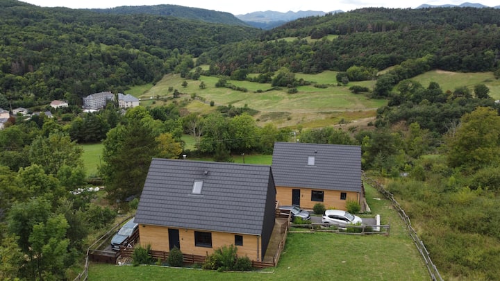 Deux Grands Chalets Vue Sur Le Sancy - Saint-Nectaire
