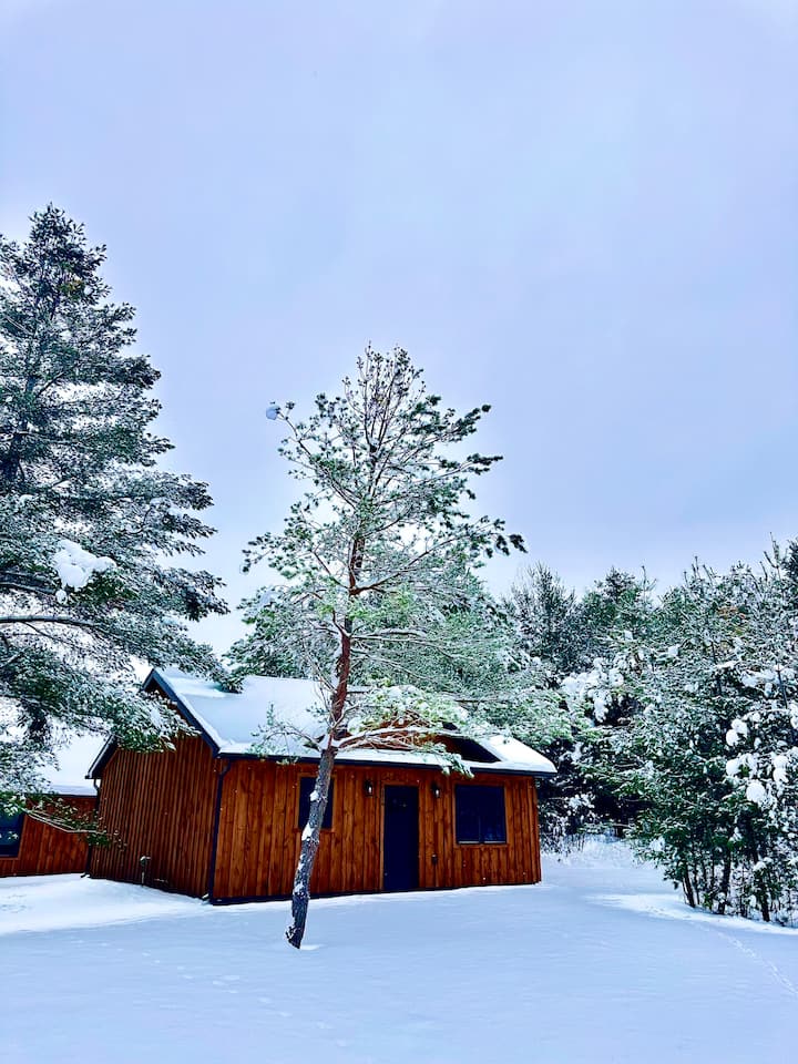 Raven Acres Adirondack Cabin 11 - Chase Lake, Glenfield