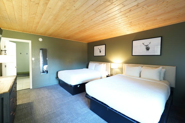 Renovated 2 Queen Suite W/ Kitchenette - Townsend, TN