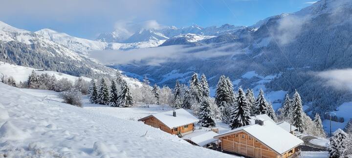 Ebonite Duplex Confort Dans Chalet Vue Mont-blanc - Hauteluce