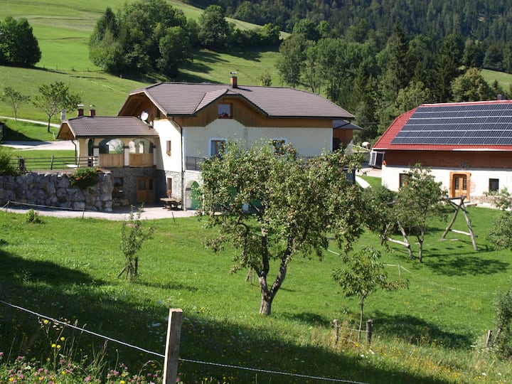 Kmetija Spodnji Goltnik - Slovenia