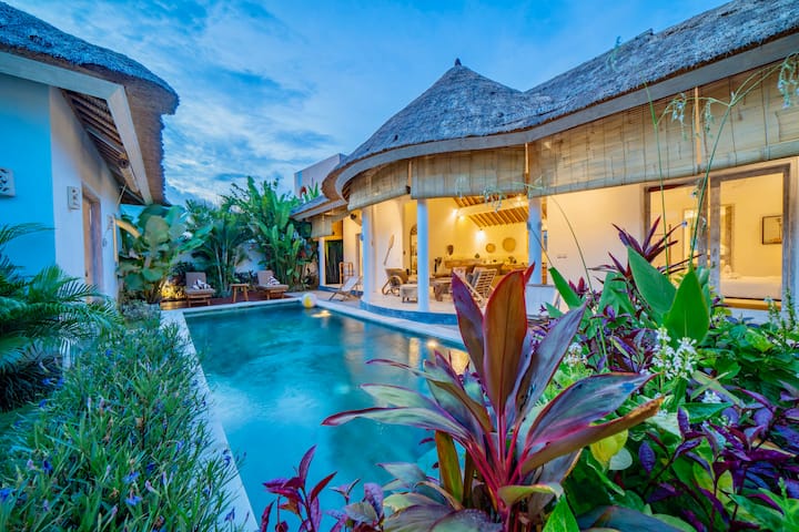 Tropical 3br Villa + Pool, Free Scooter & Pickup! - Kuta