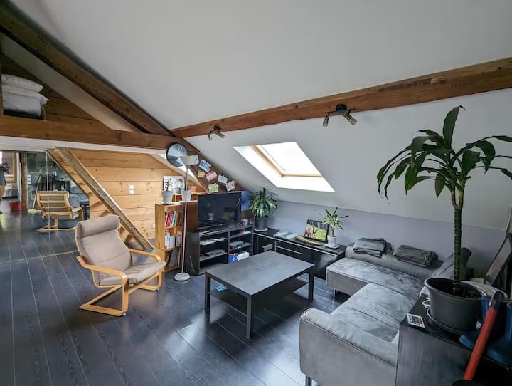 Appartement - Passy - 1 Chambre - Passy