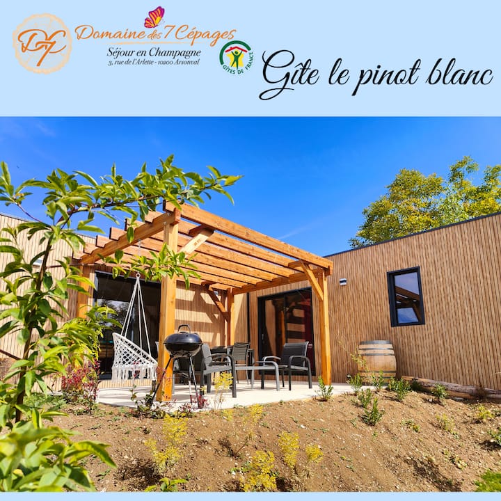 *Gîte Le Pinot Banc*  D7c {5mn Nigloland} - Bar-sur-Aube