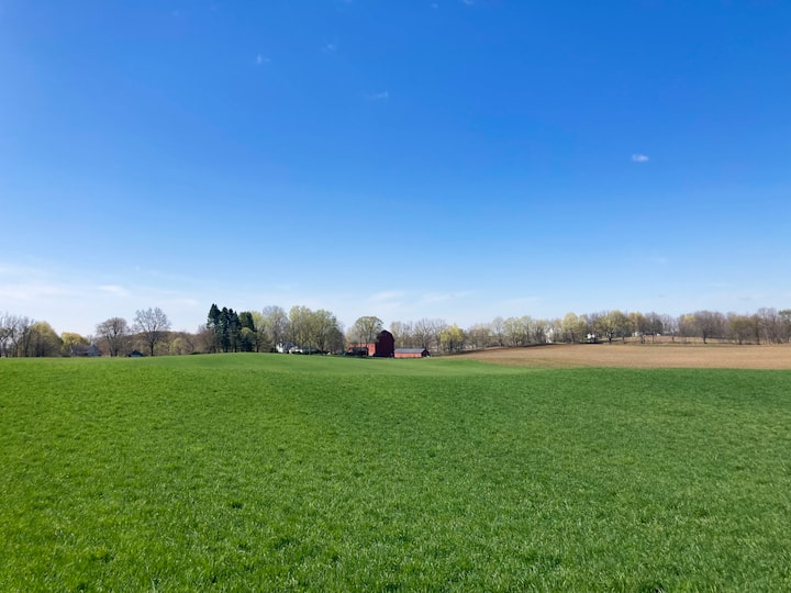 Farmhouse Retreat - 10+ Guests - Albion, MI