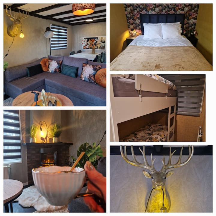 Chalet Het Gouden Hert In Putten - Putten