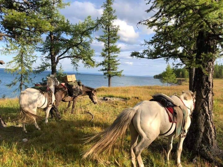 Bl Travel - Mongolia