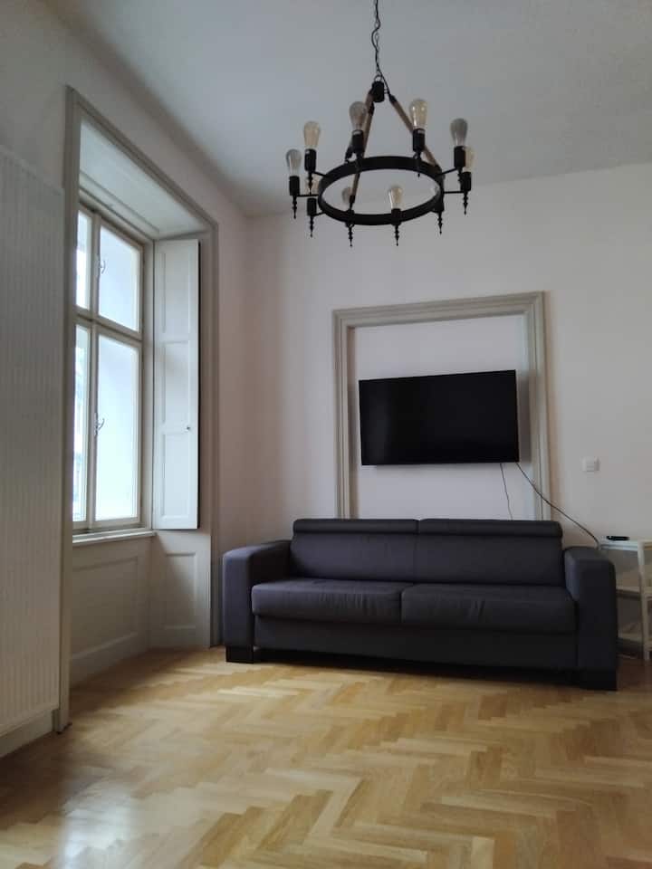 Stanovanje Wagner (šT. 8) - Liubliana