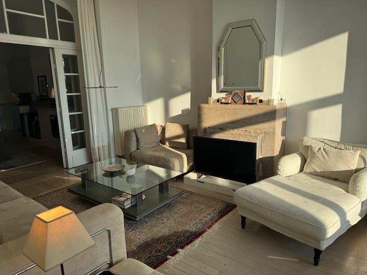 Stylish And Bright 19th Century Loft With Terrace - Antwerp