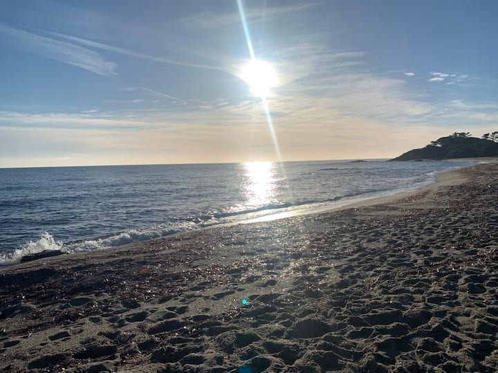 Plage Et Détente En Famille - Corse