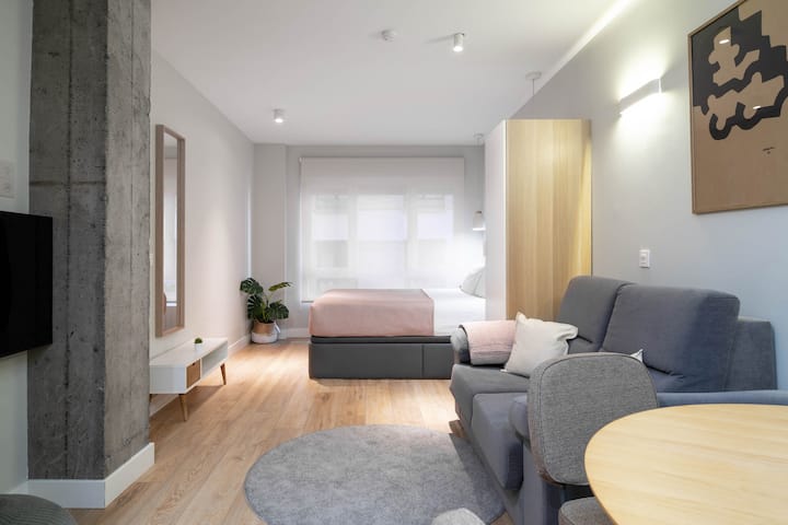 Bilbao Tristan De Leguizamon | Studio + Sofa Bed - Bilbao