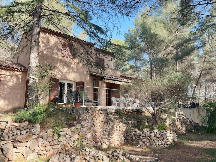 Vacances Familiales à Sanary, En Pleine Pinède - Le Castellet