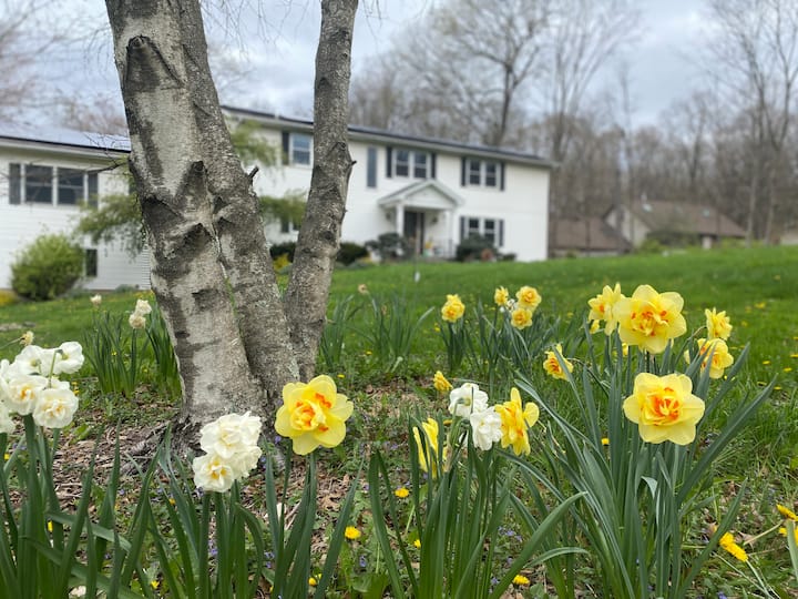 Cedar Hill Home - Kingston, NY