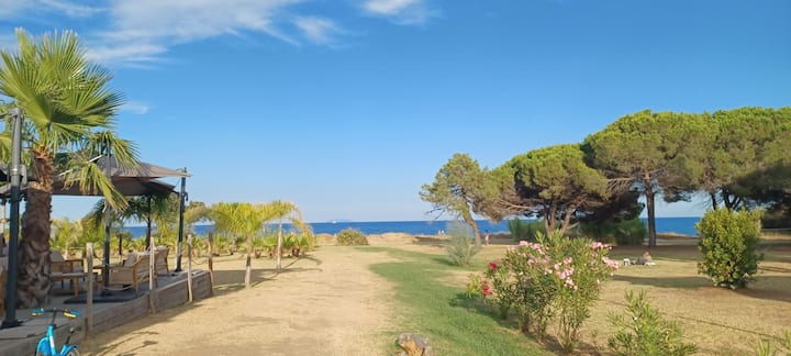 T2 Terrasse Piscine Et Plage à 300m Moriani Corse - Corsica
