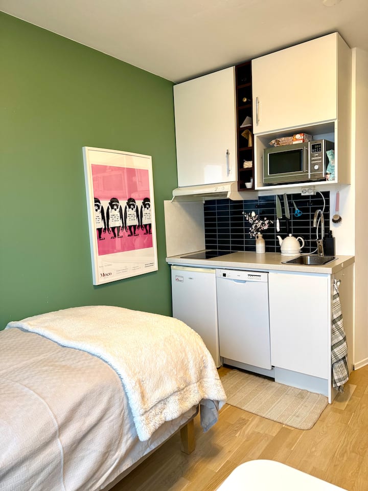 Studio Apartment, In The Heart Of Nydalen. - Oslo