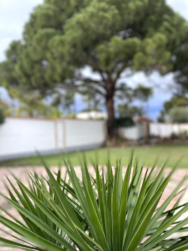 Charming Guesthouse In Lively Town - La Pobla de Vallbona