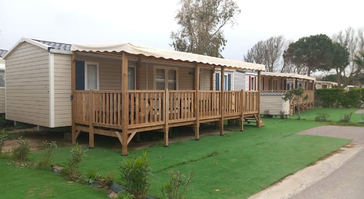 Le Calme, La Plage, Le Bonheur. - Torreilles