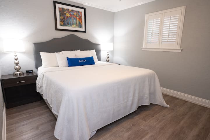 My Southerncomfort At 519 Frenchmen Street! 303 - New Orleans, LA