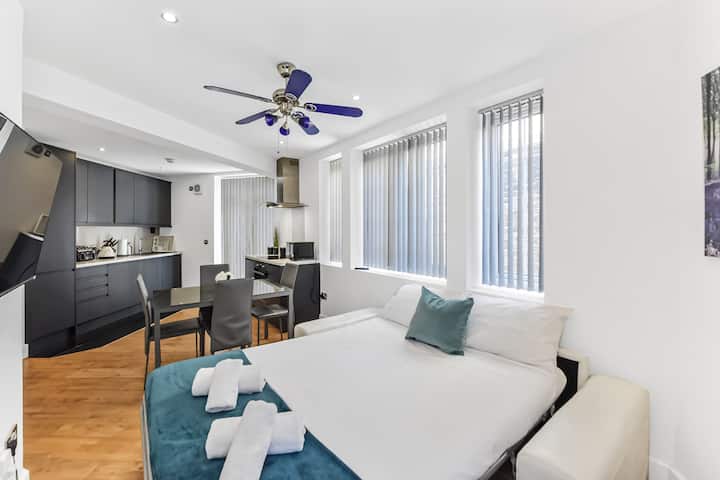 Modern 2 Br Flat King's Cross St Pancras & Euston - London