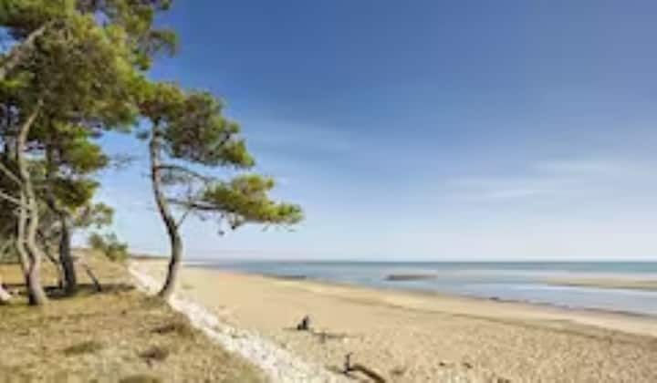 Très Proche Mer/calme/repos - La Tranche-sur-Mer