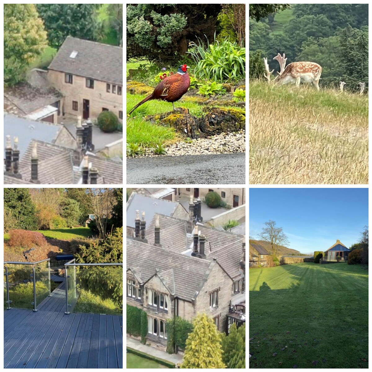 The Stables East Lodge Country House - Houses for Rent in Rowsley ...