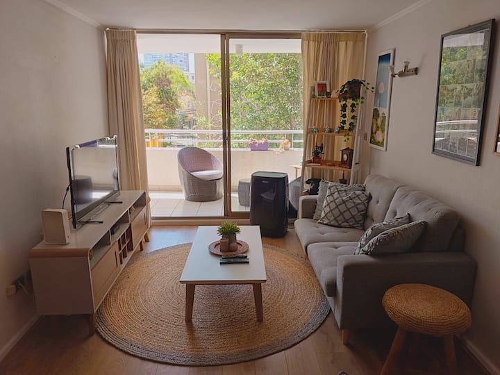 Stylish 2br In Providencia - チリ プロビデンシア