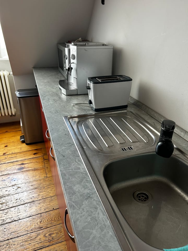 Historisches Hostel Im Zentrum 6 - Mannheim