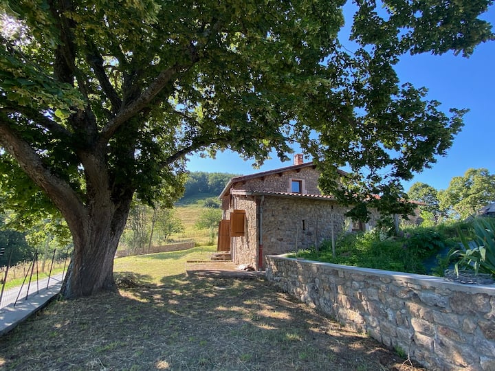 La Maison Au Tilleul, Confort Sérénité Wifi Rapide - Parc de Courzieu