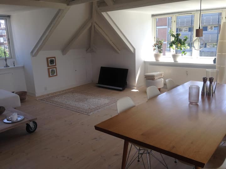 Penthouse Apartment In Frederiksberg, Copenhagen - Copenhaguen