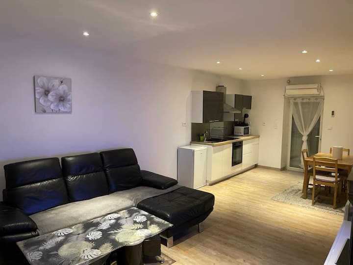 T3 Cosy En Ville Avec Terrasse - Ambérieu-en-Bugey