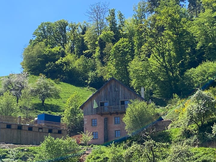 Ferme Du Point Du Jour (10-14 P) - Black Forest