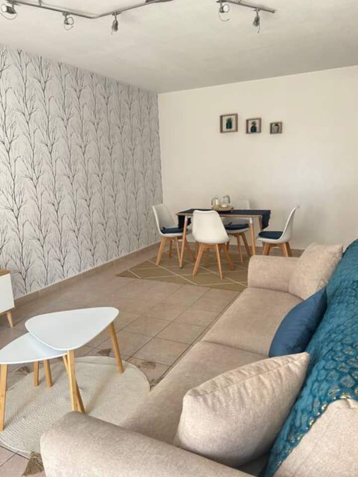 Tour 3. Colocation | Gare 10 Min - Annemasse