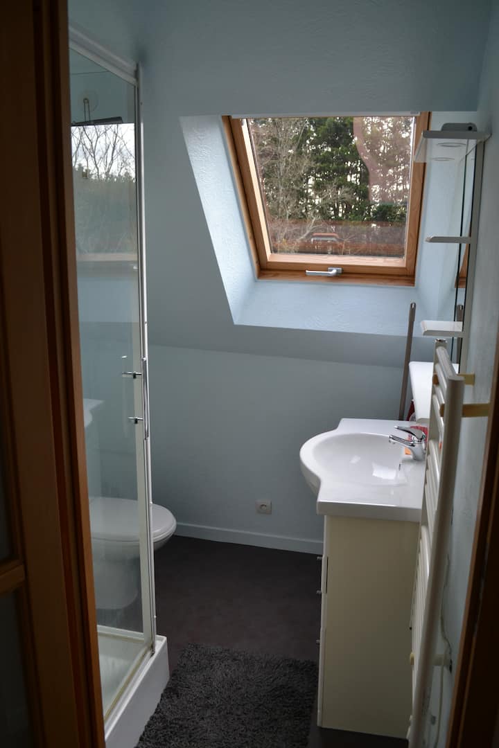 Studio Lumineux 21m² Carrez,proche Nantes Au Calme - La Chapelle-sur-Erdre