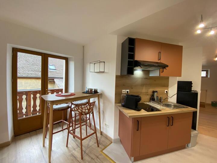 Chez Victor - Parking, Balcon, Proche Lac & Rando - Veyrier-du-Lac