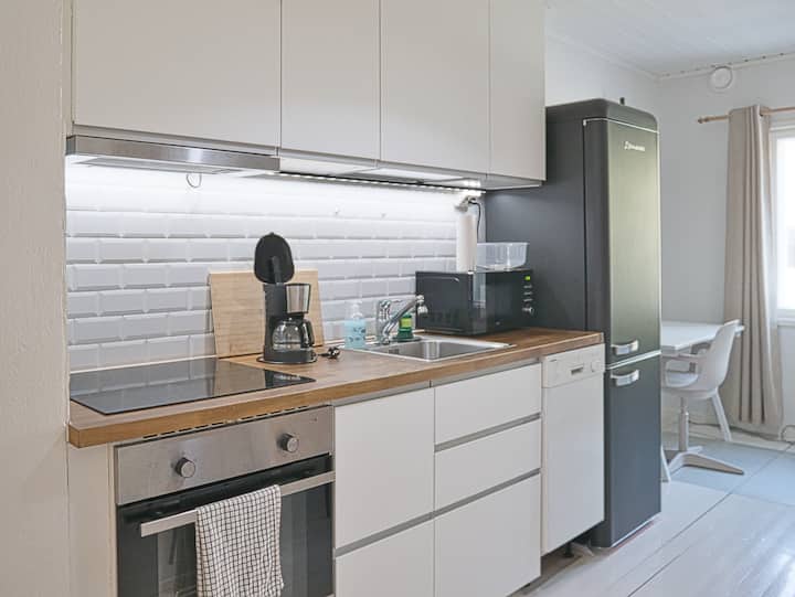 Cozy Classic Apartment - Helsinki