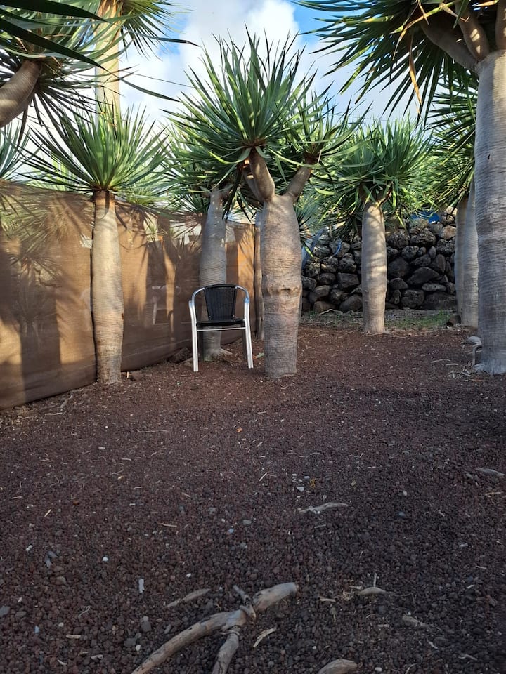 Espacio Por Tu Propria Tienda! - Tenerife