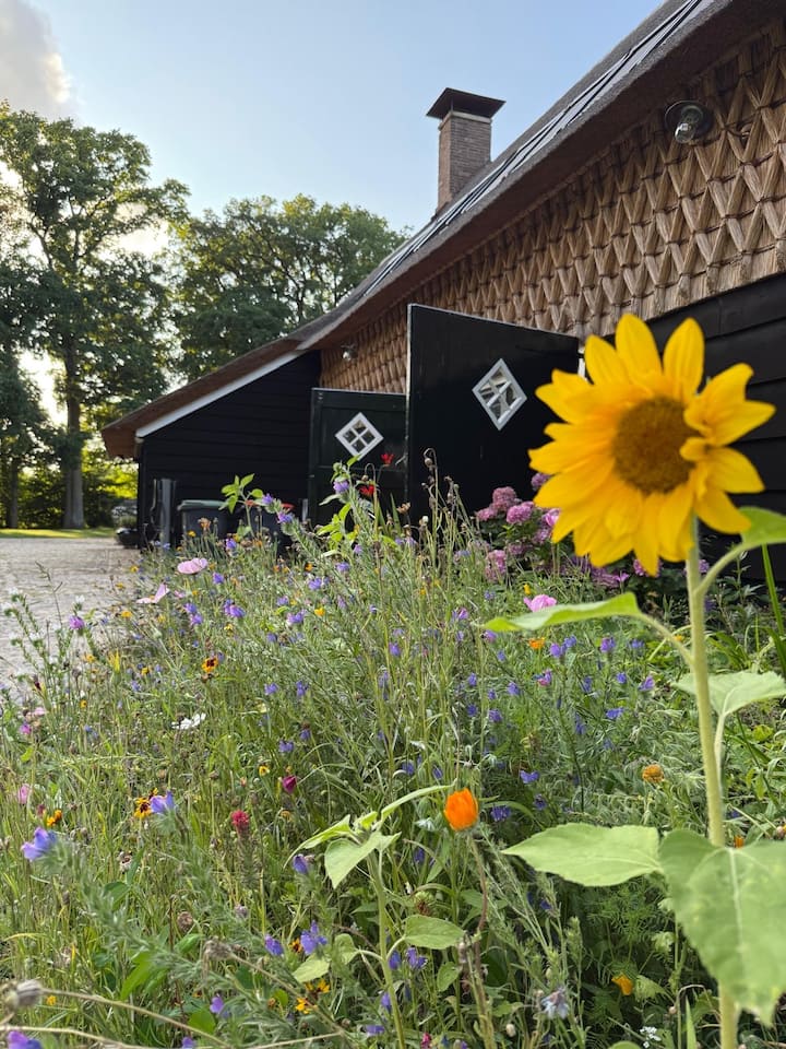 Ff-nix, Boshuisje Reestdal Op Landgoed Getafix - Overijssel