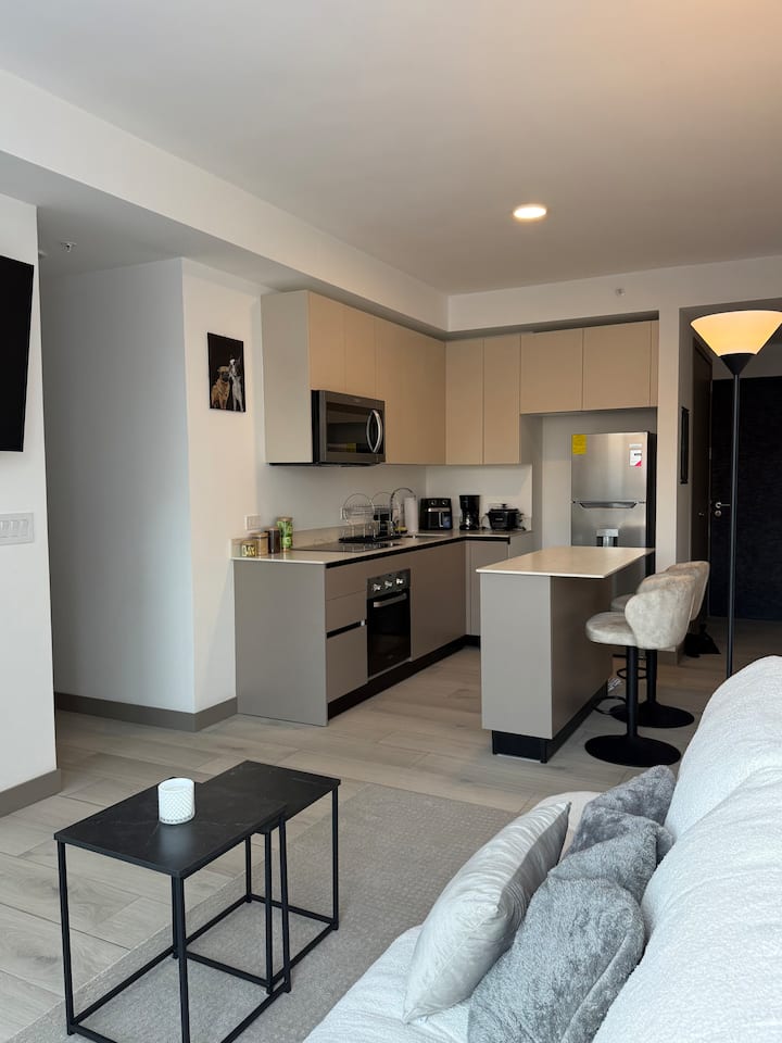 Nucleosab Ivoryapt-nearsjairport-freeindoorparking - San José