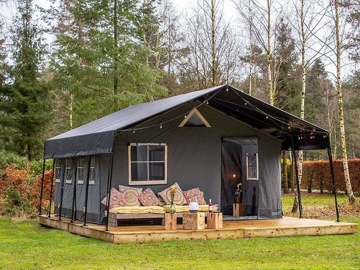 Safaritent Op Kleine Camping - Callantsoog