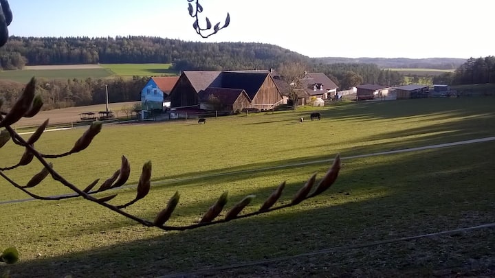 Magie Des Waldes - Lichtenfels