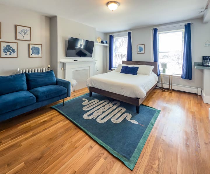 (W11) Vibrant Area, Pizza, Shopping, Parks W/d - Boston University, Boston