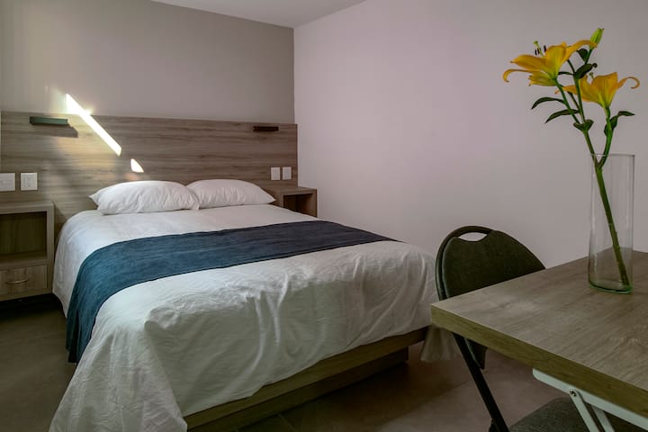 3 Habitación Centro Cultural En Rincón Casa Toluca - Toluca
