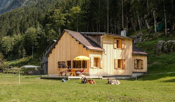 Alp Hütte Bregenzerwald - Bezau
