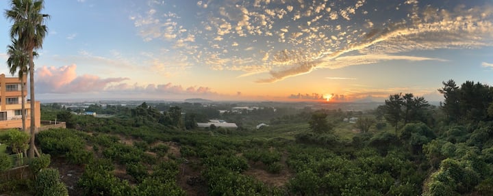 Home With Serene Views Of Jeju East | House Yang - Jeju-si