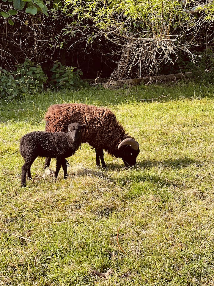 La Casa De Natina "Maison Familiale" - Plomeur