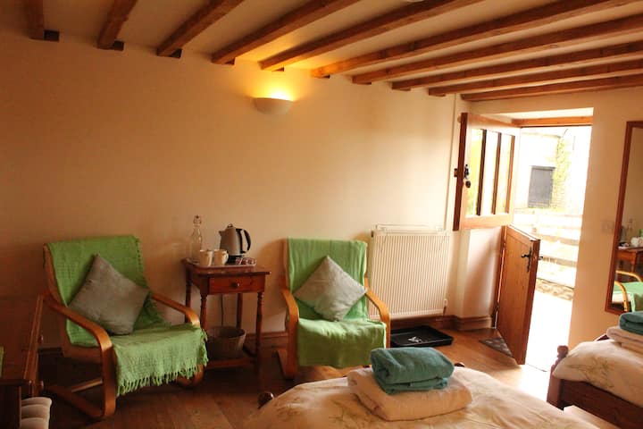 Room 4: Peaceful Hideaway - Llandovery